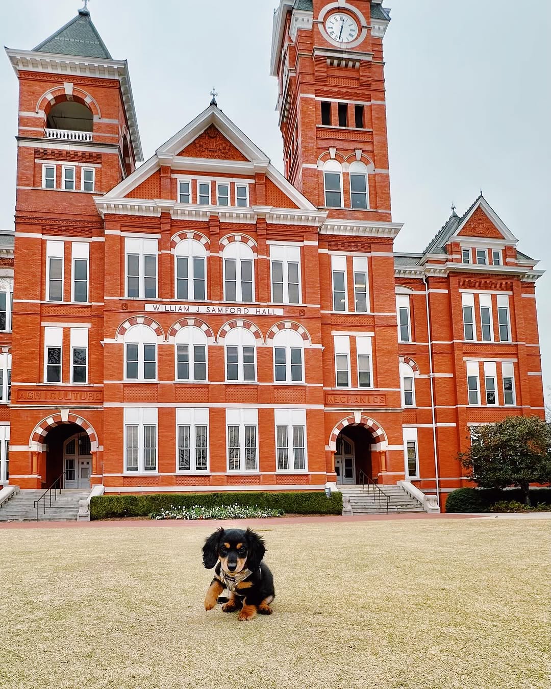 Student Housing in Auburn, AL | UNCOMMON Auburn
